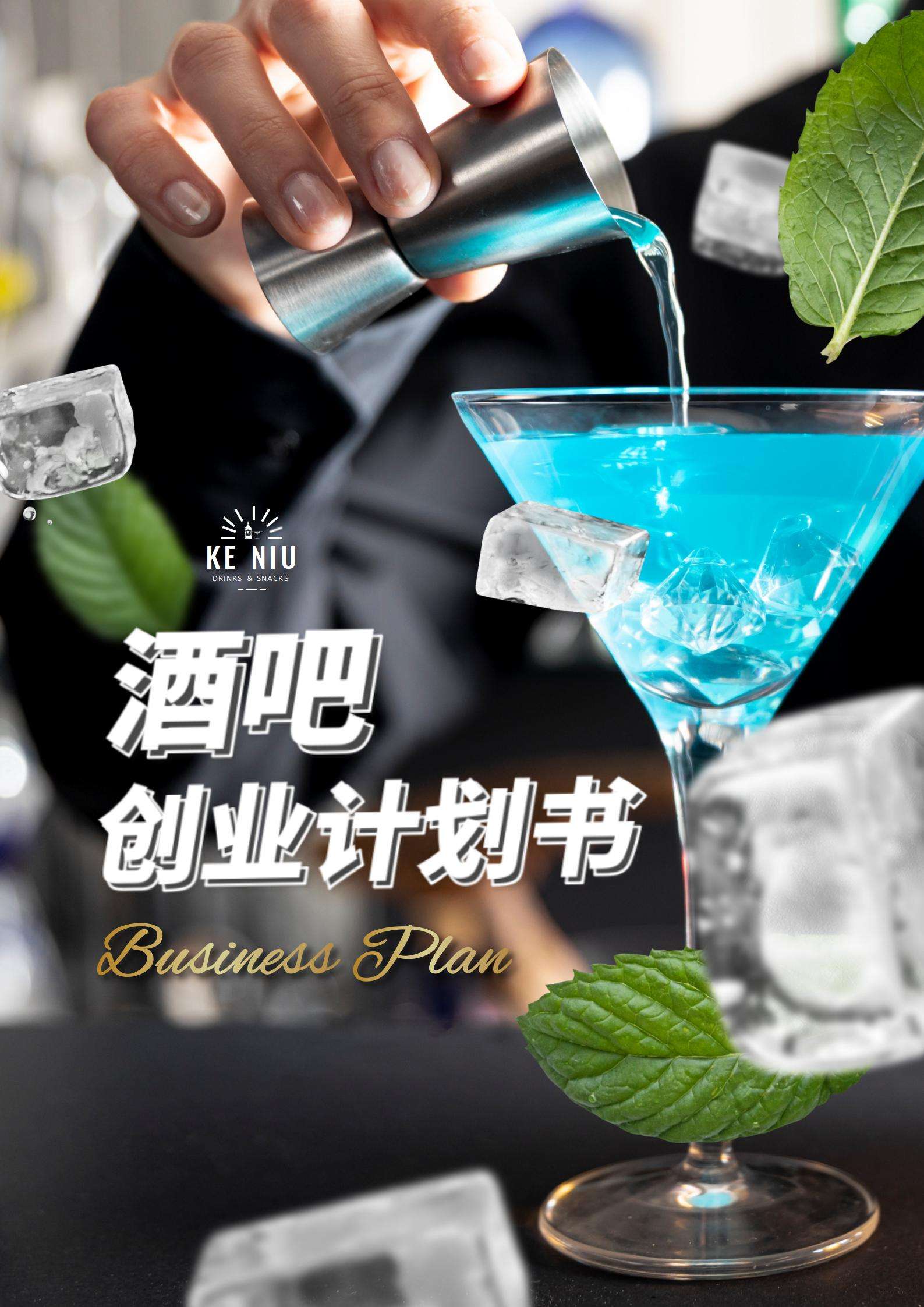 酒吧创业计划书word模板完美办公